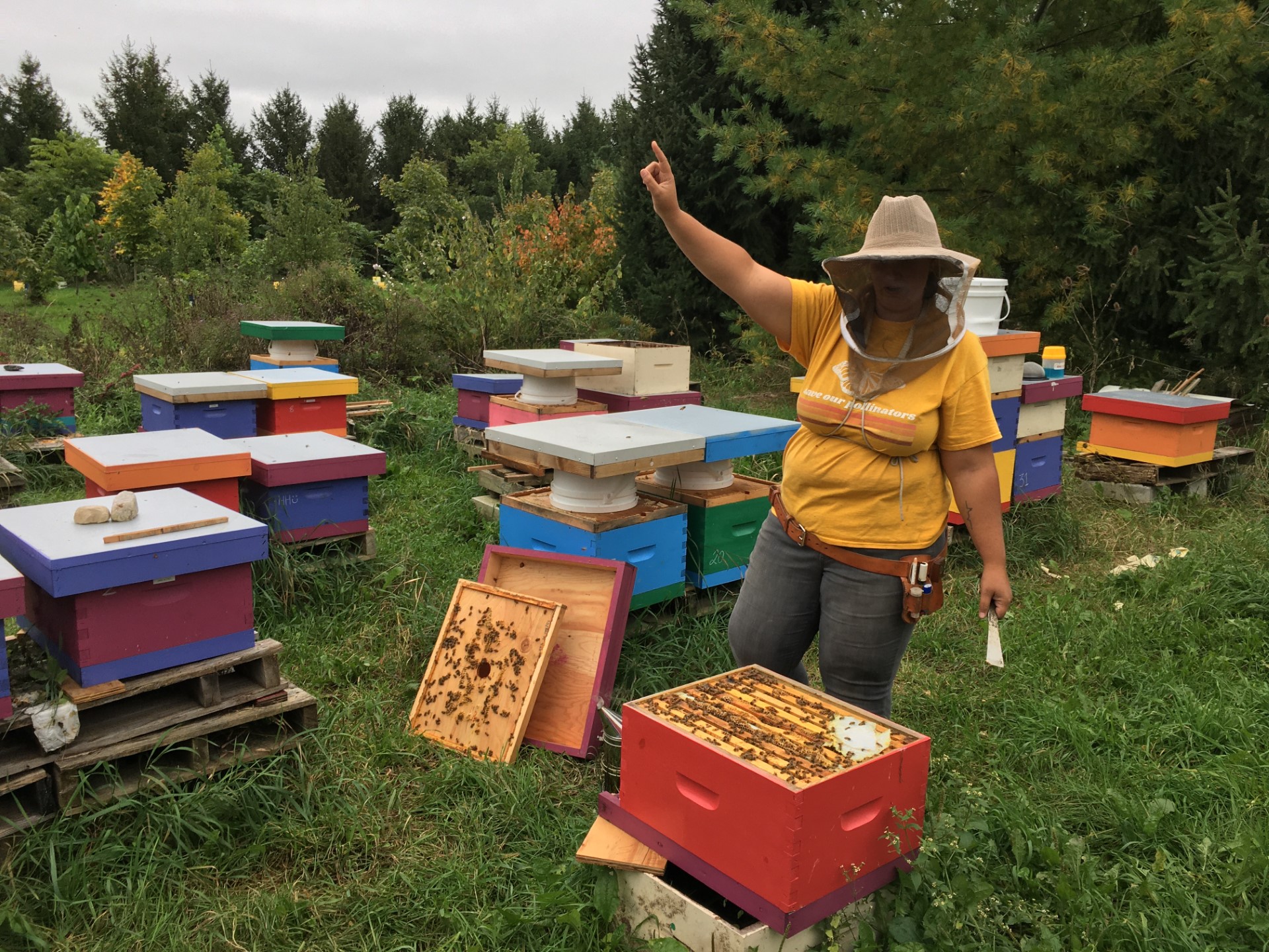 A Breath of Fresh Air Outside Toronto - Culturemagazin®