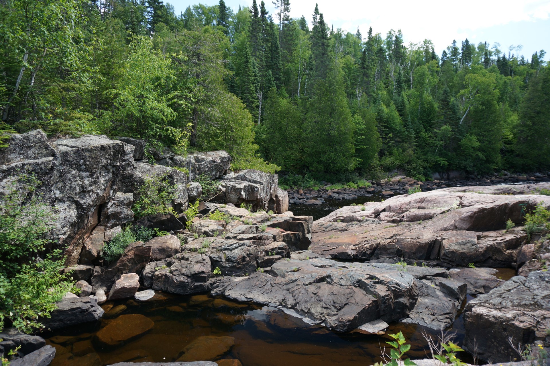 Ontario's Forestry Industry and What You Need to Know Today ...