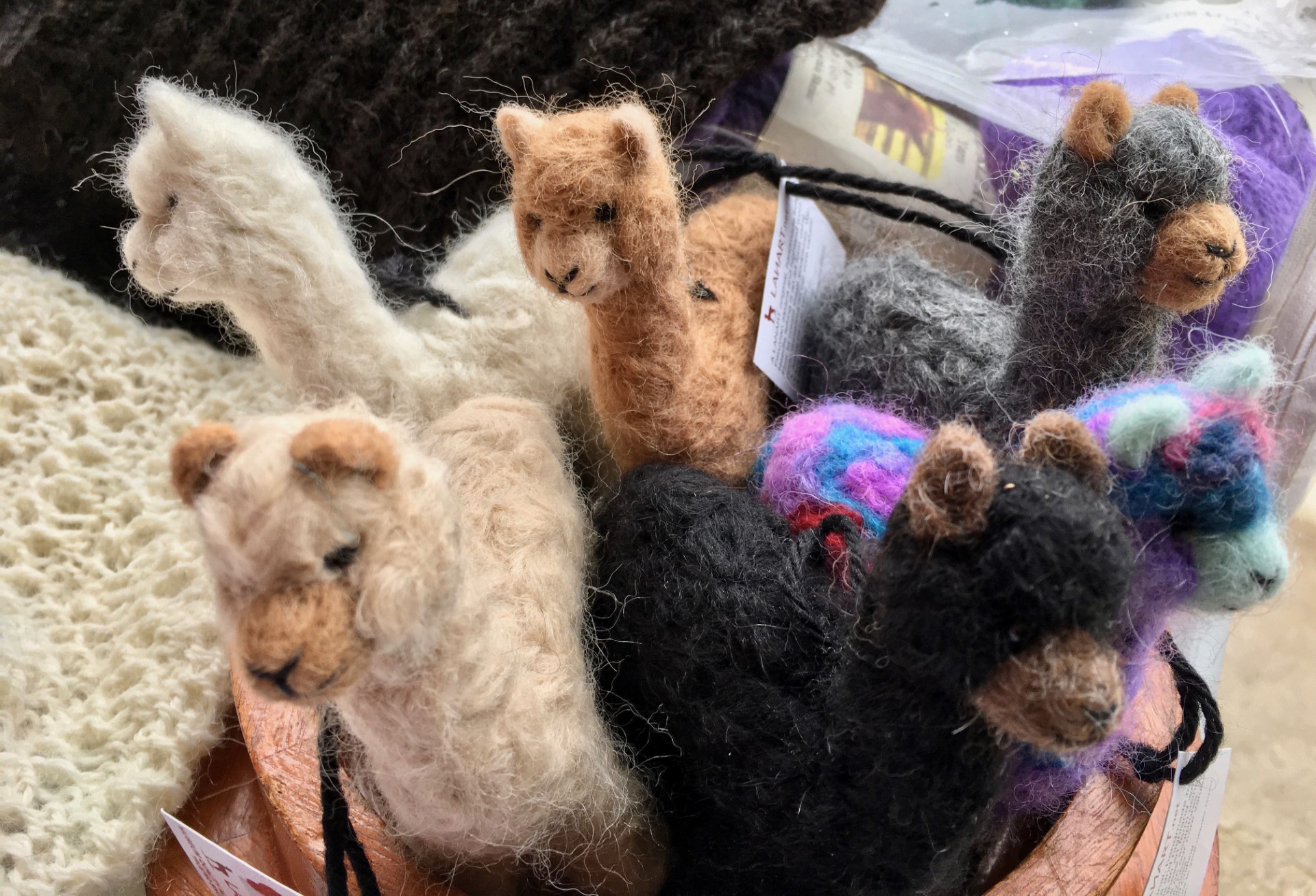 Tận hưởng nguồn không khí trong lành ngay vùng ngoại ô Toronto ...