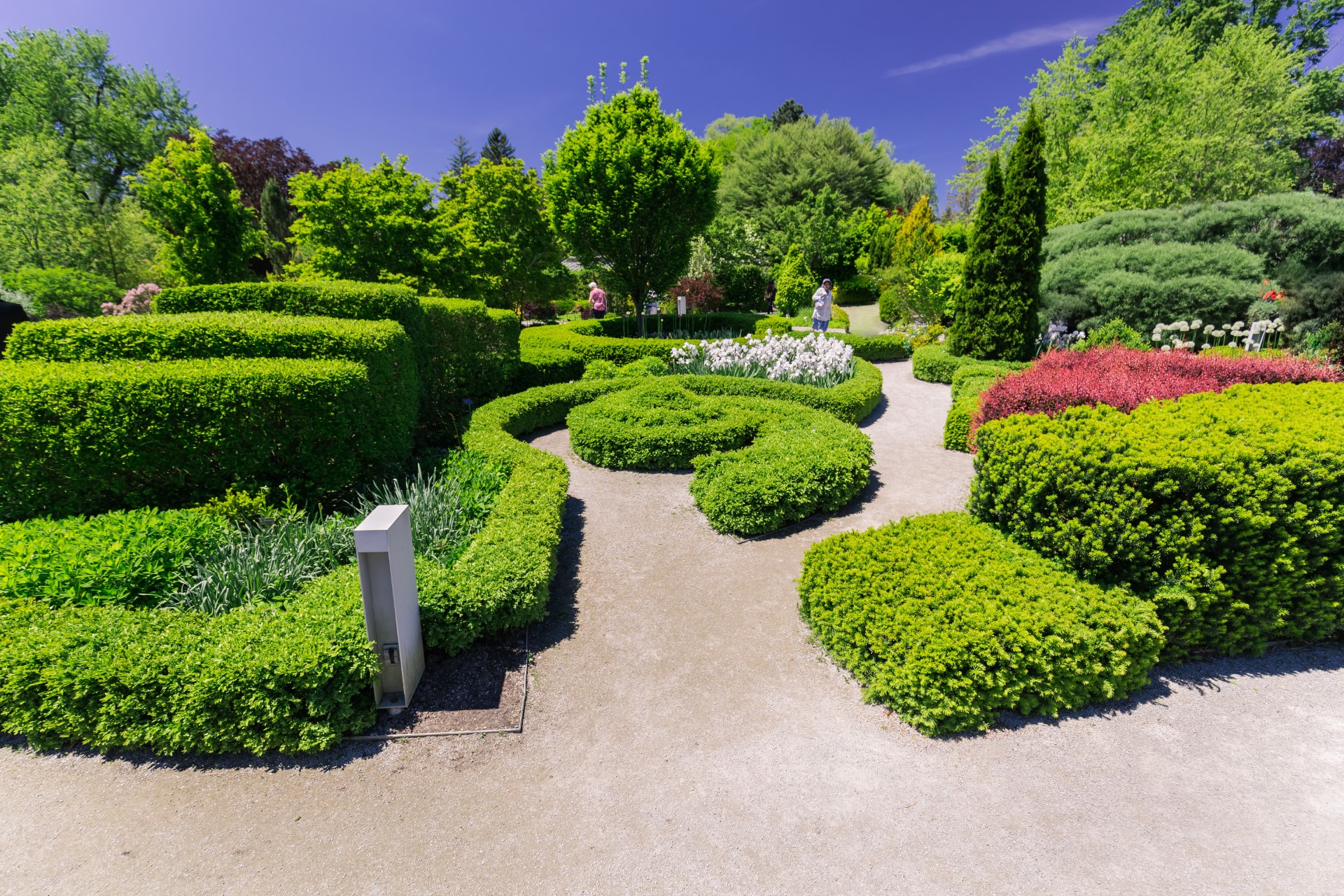 5 Botanical Gardens You Should Visit - Culturemagazin®