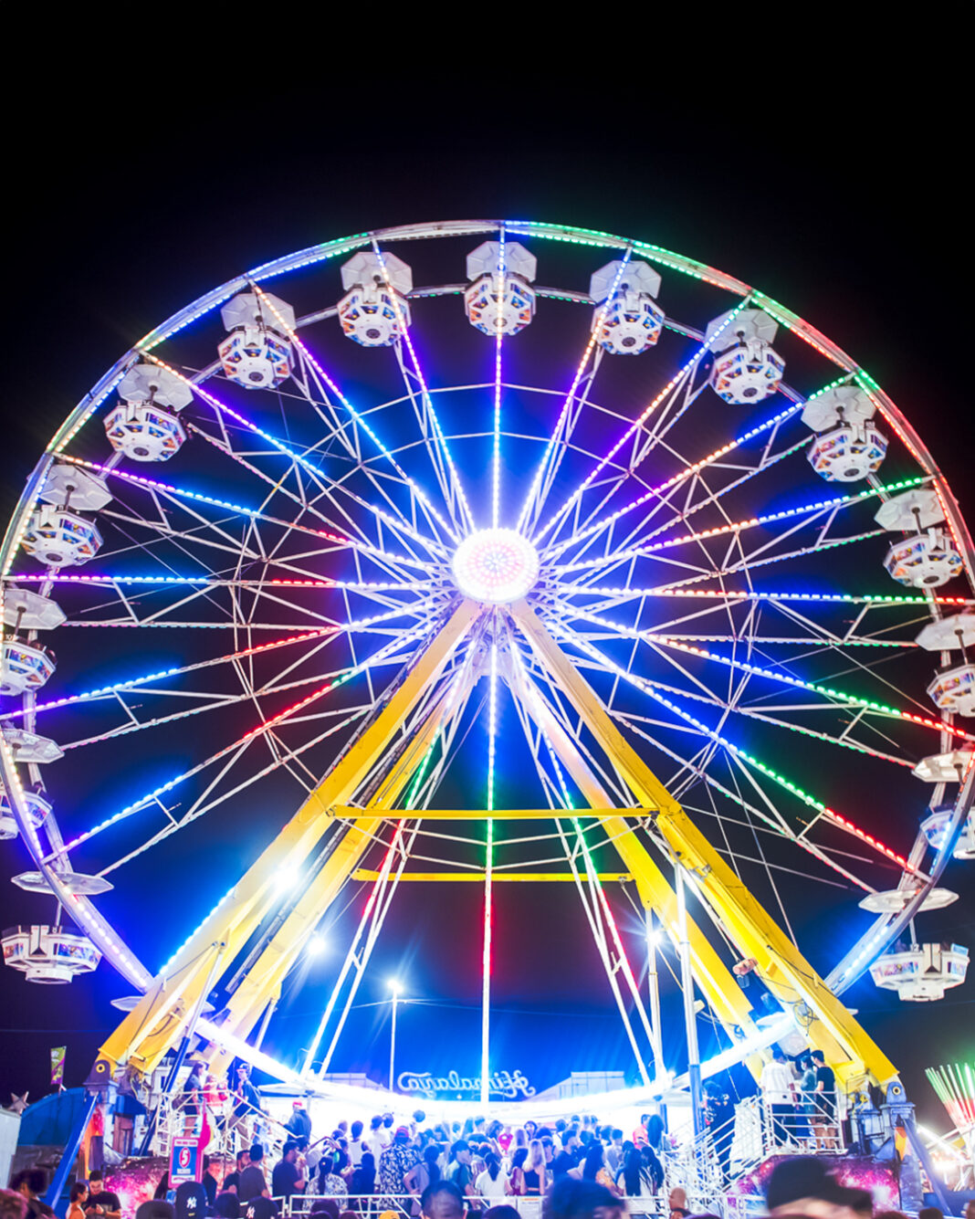 Here are 12 things to do at this year's CNE - Culturemagazin®