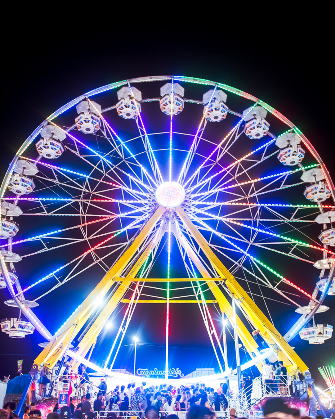 Here are 12 things to do at this year's CNE - Culturemagazin®