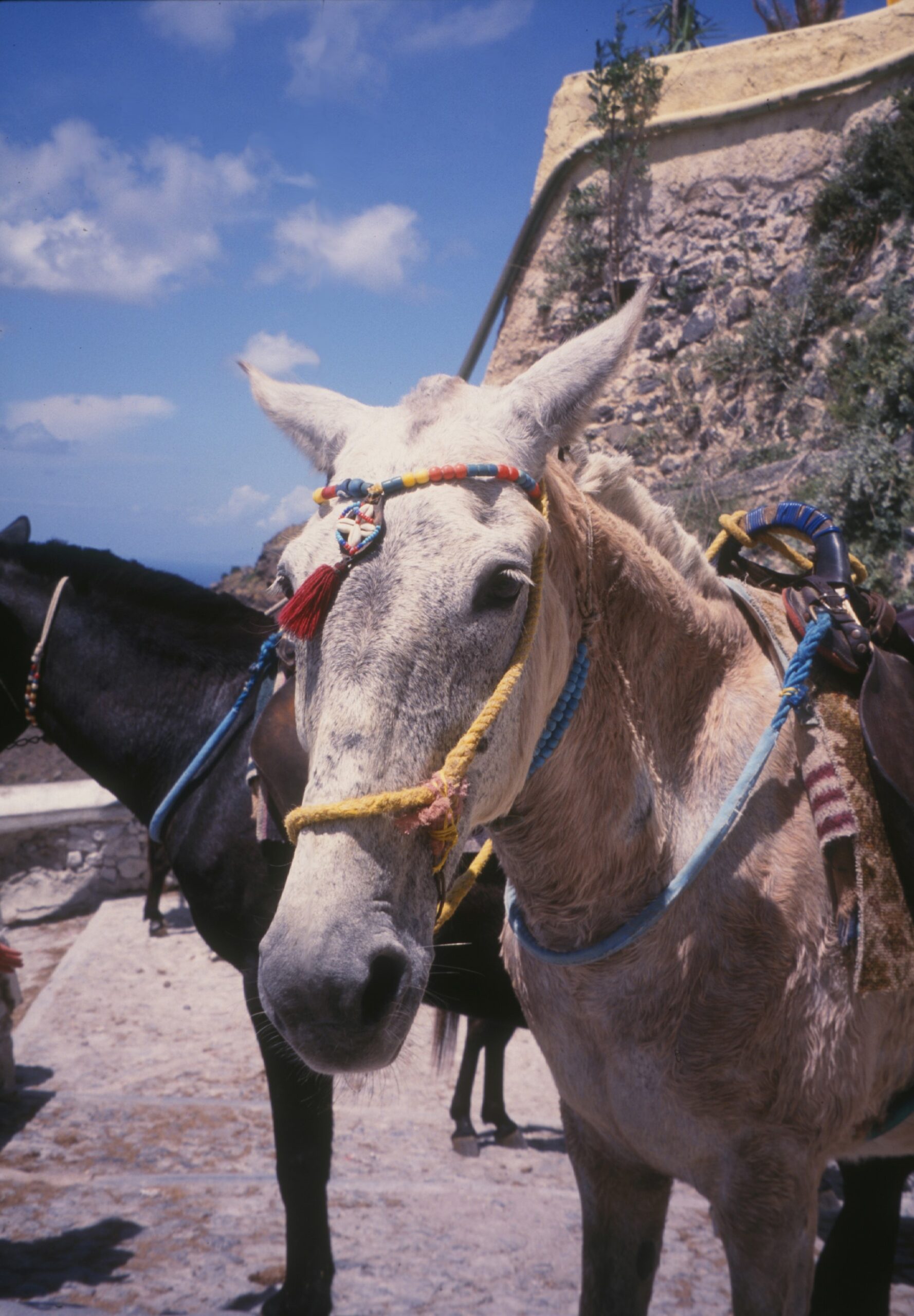 Unraveling the Marvels of a Greek Monastery - Culturemagazin®