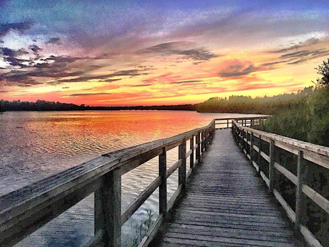 10 Beautiful Hiking Trails Around Toronto That Take You Through ...