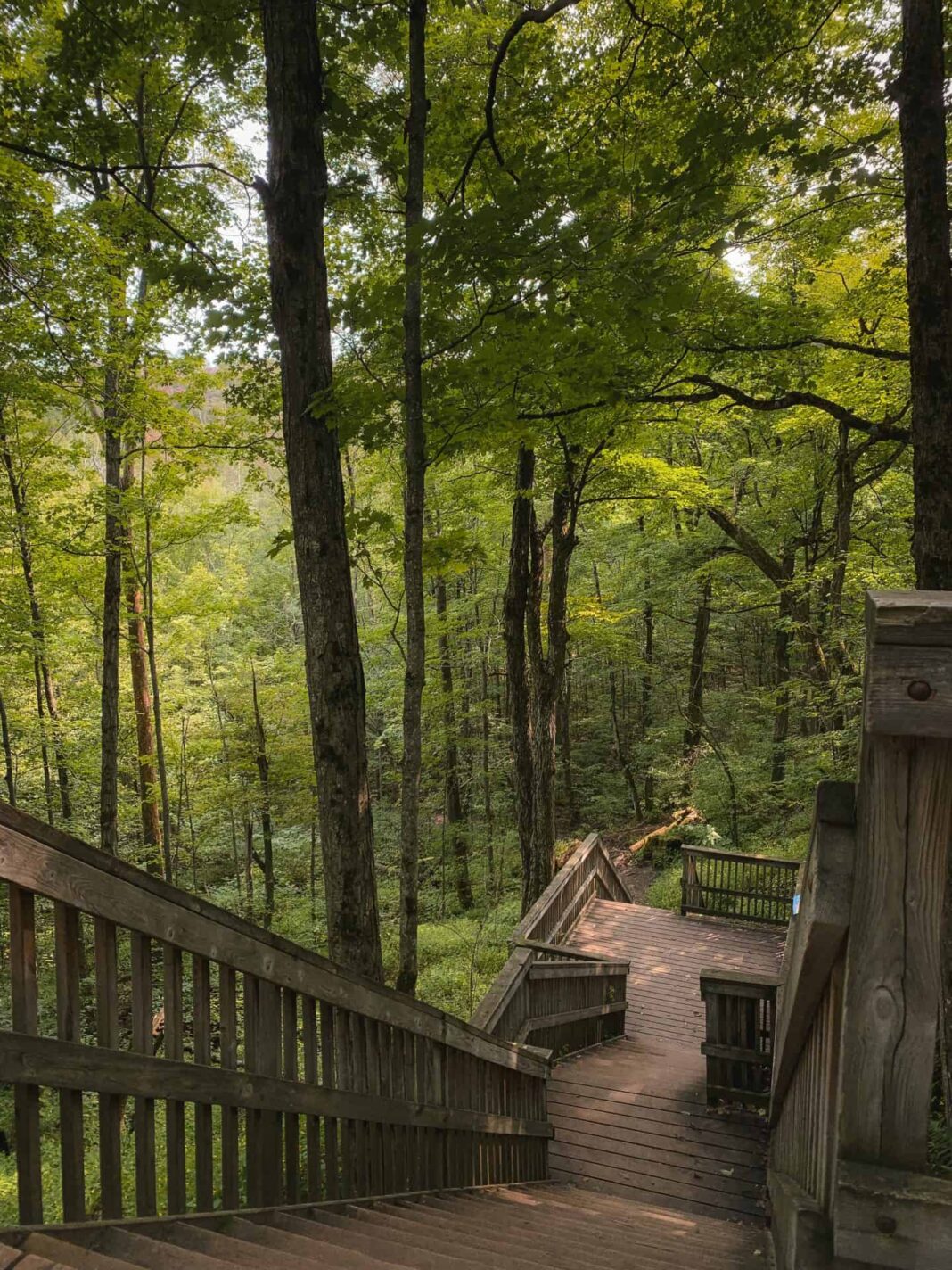 10 Beautiful Hiking Trails Around Toronto That Take You Through ...