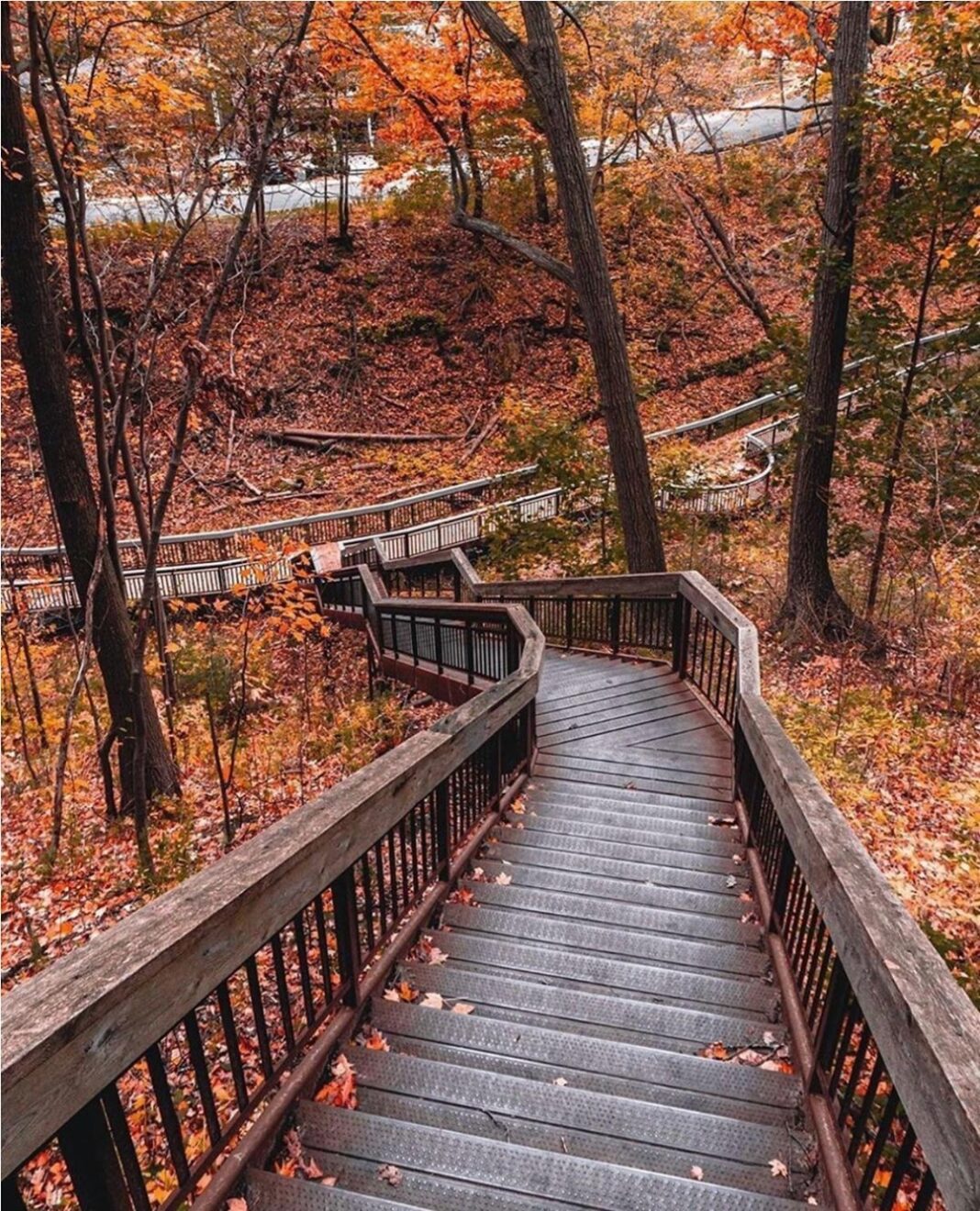 10 Beautiful Hiking Trails Around Toronto That Take You Through ...