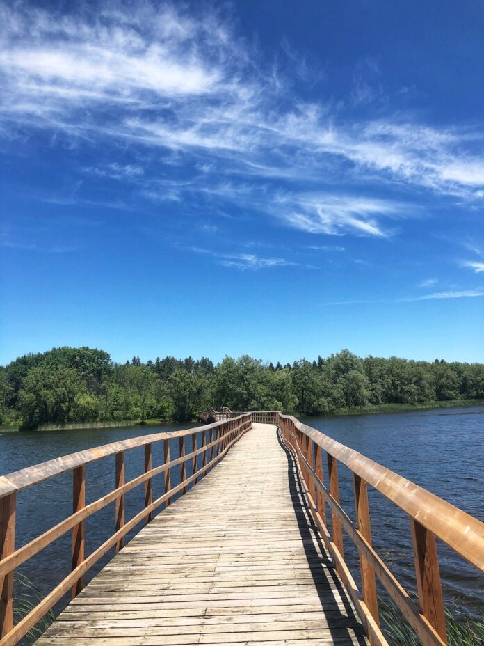 10 Beautiful Hiking Trails Around Toronto That Take You Through ...